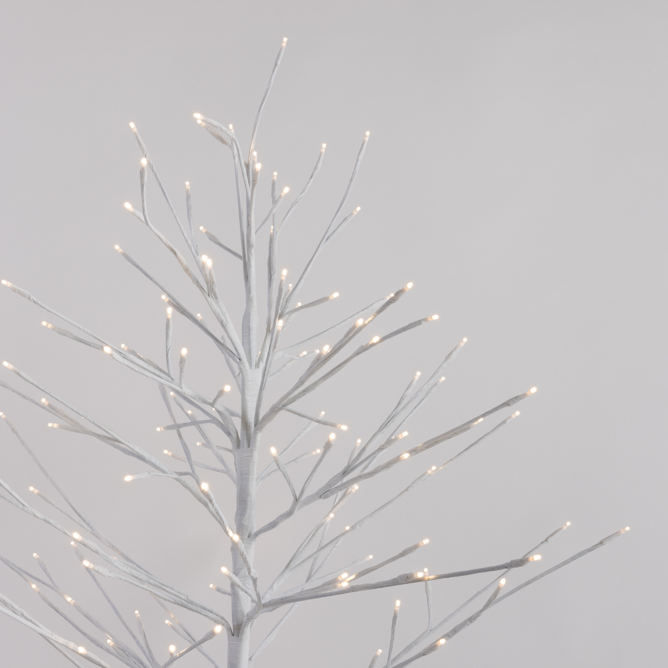 White Twig Trees – Stellar Haus
